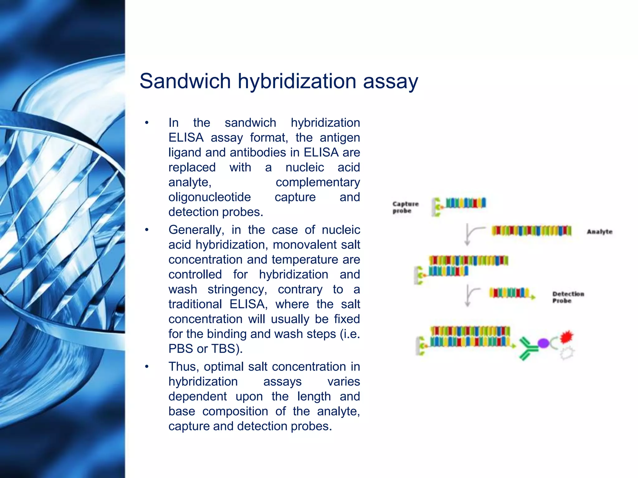 Nucleic acid hybridization | PPTX