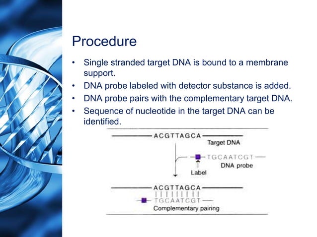 Nucleic acid hybridization | PPT