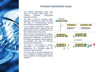 Nucleic acid hybridization | PPT