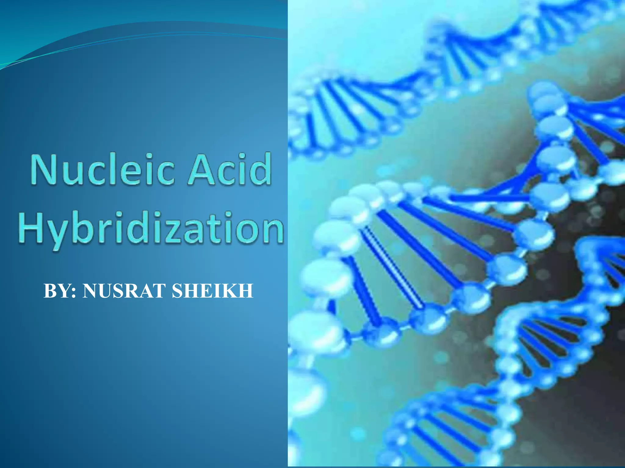 Nucleic Acid Hybridization.pptx