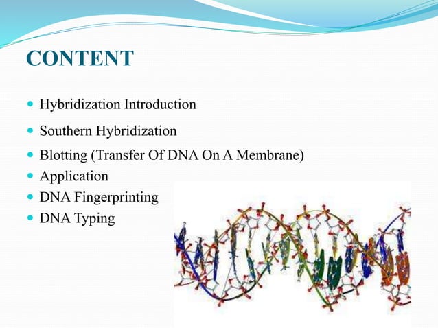 Nucleic Acid Hybridization.pptx