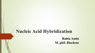 Nucleic Acid Hybridization, Nucleic Acid.pptx