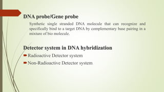 Nucleic Acid Hybridization, Nucleic Acid.pptx