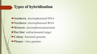 Nucleic Acid Hybridization, Nucleic Acid.pptx