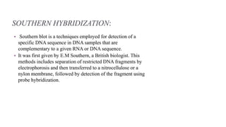 NUCLEIC ACID HYBRIDIZATION,types of hybridization | PPTX