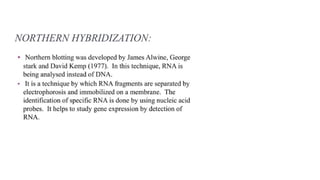 NUCLEIC ACID HYBRIDIZATION,types of hybridization | PPTX