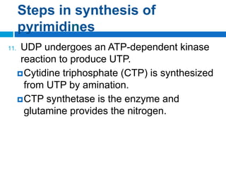 Nucleic acid introduction & metabolism | PPTX