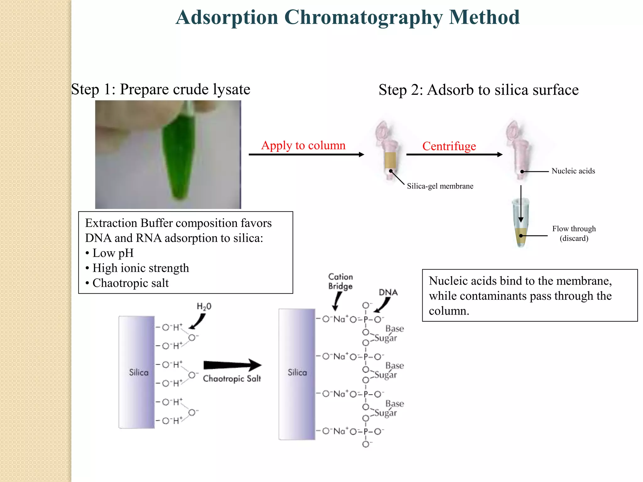 NUCLEIC ACID ISOLATION PROTOCOLS | PPTX