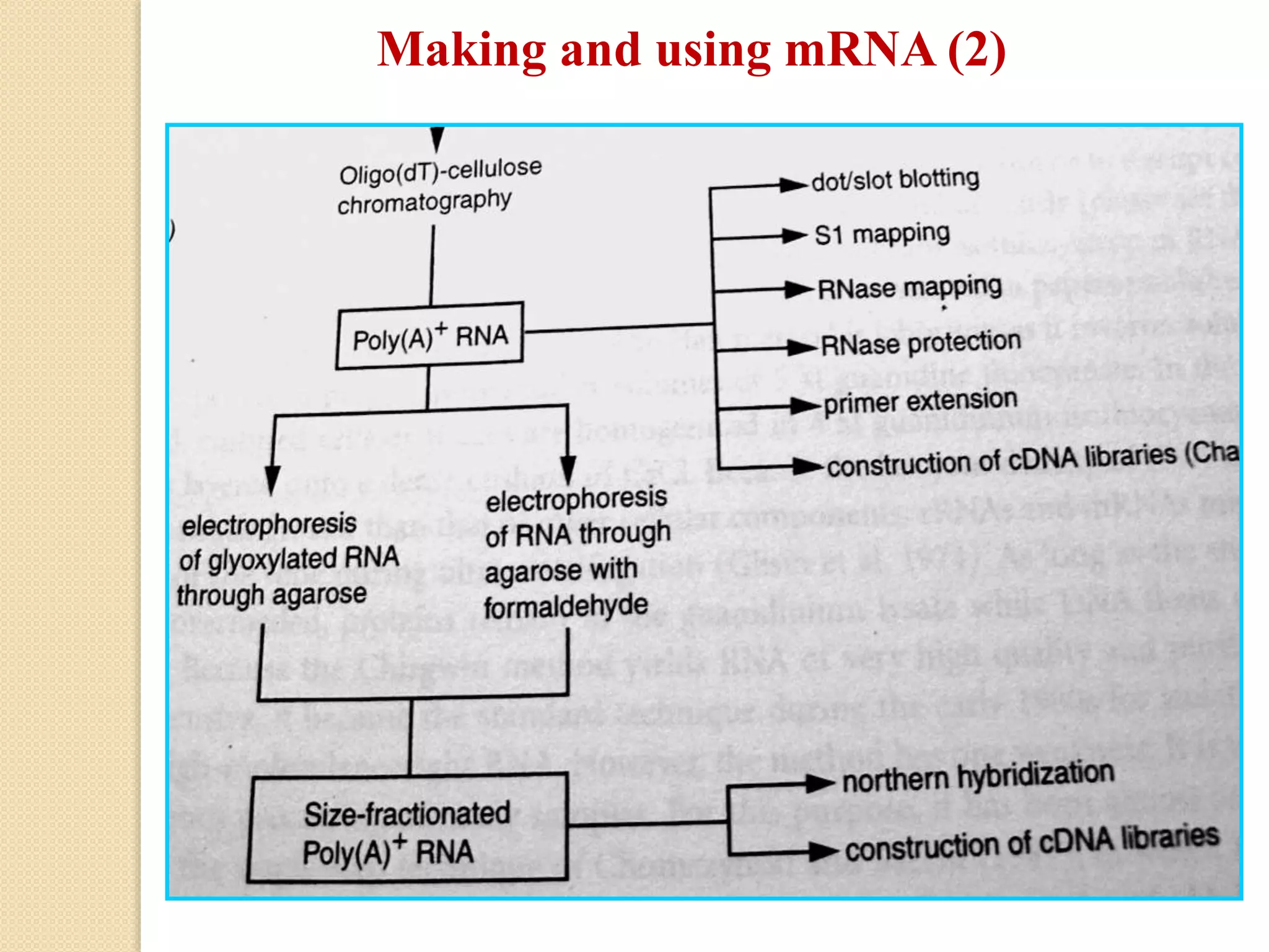 NUCLEIC ACID ISOLATION PROTOCOLS | PPTX