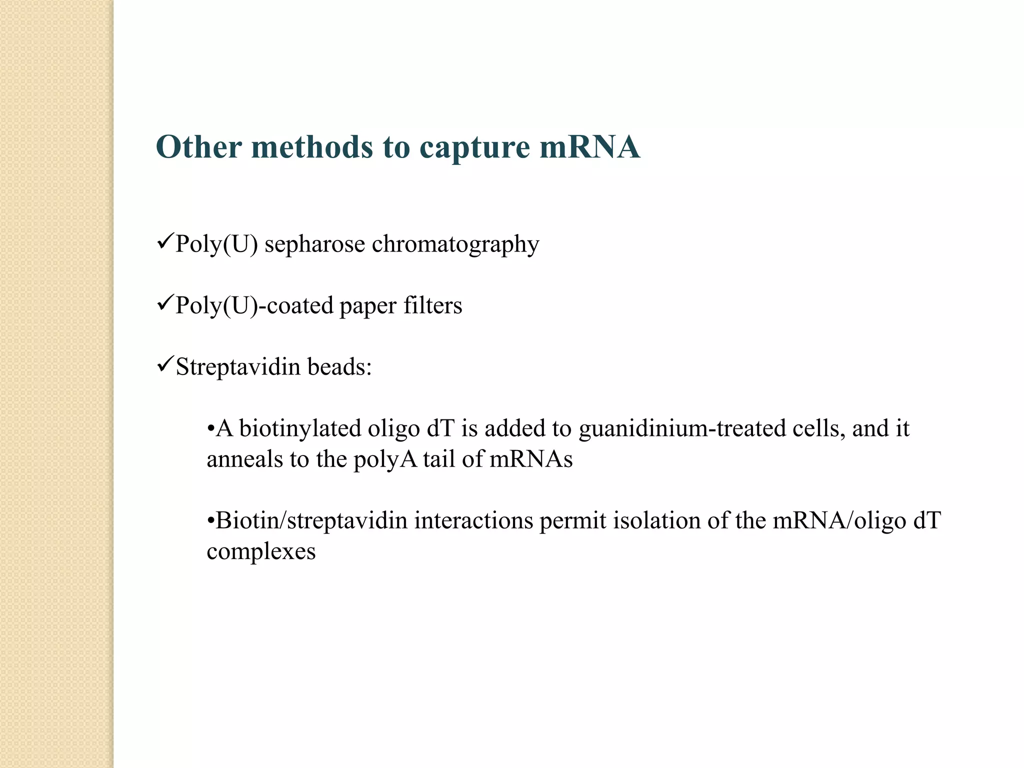 NUCLEIC ACID ISOLATION PROTOCOLS | PPTX