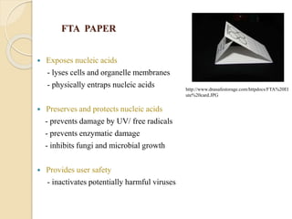 NUCLEIC ACID ISOLATION PROTOCOLS | PPTX