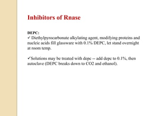 NUCLEIC ACID ISOLATION PROTOCOLS | PPTX