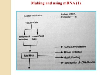 NUCLEIC ACID ISOLATION PROTOCOLS | PPTX