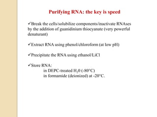 NUCLEIC ACID ISOLATION PROTOCOLS | PPTX