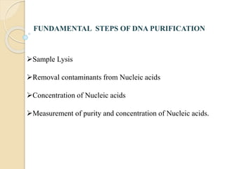 NUCLEIC ACID ISOLATION PROTOCOLS | PPTX