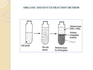 NUCLEIC ACID ISOLATION PROTOCOLS | PPTX