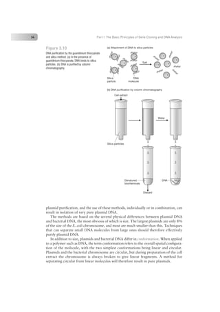 Nucleic Acid Isolation and Purification.pdf