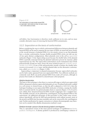 Nucleic Acid Isolation and Purification.pdf