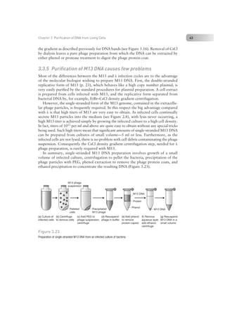 Nucleic Acid Isolation and Purification.pdf