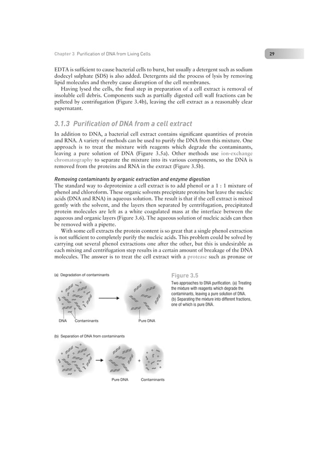 Nucleic Acid Isolation and Purification.pdf