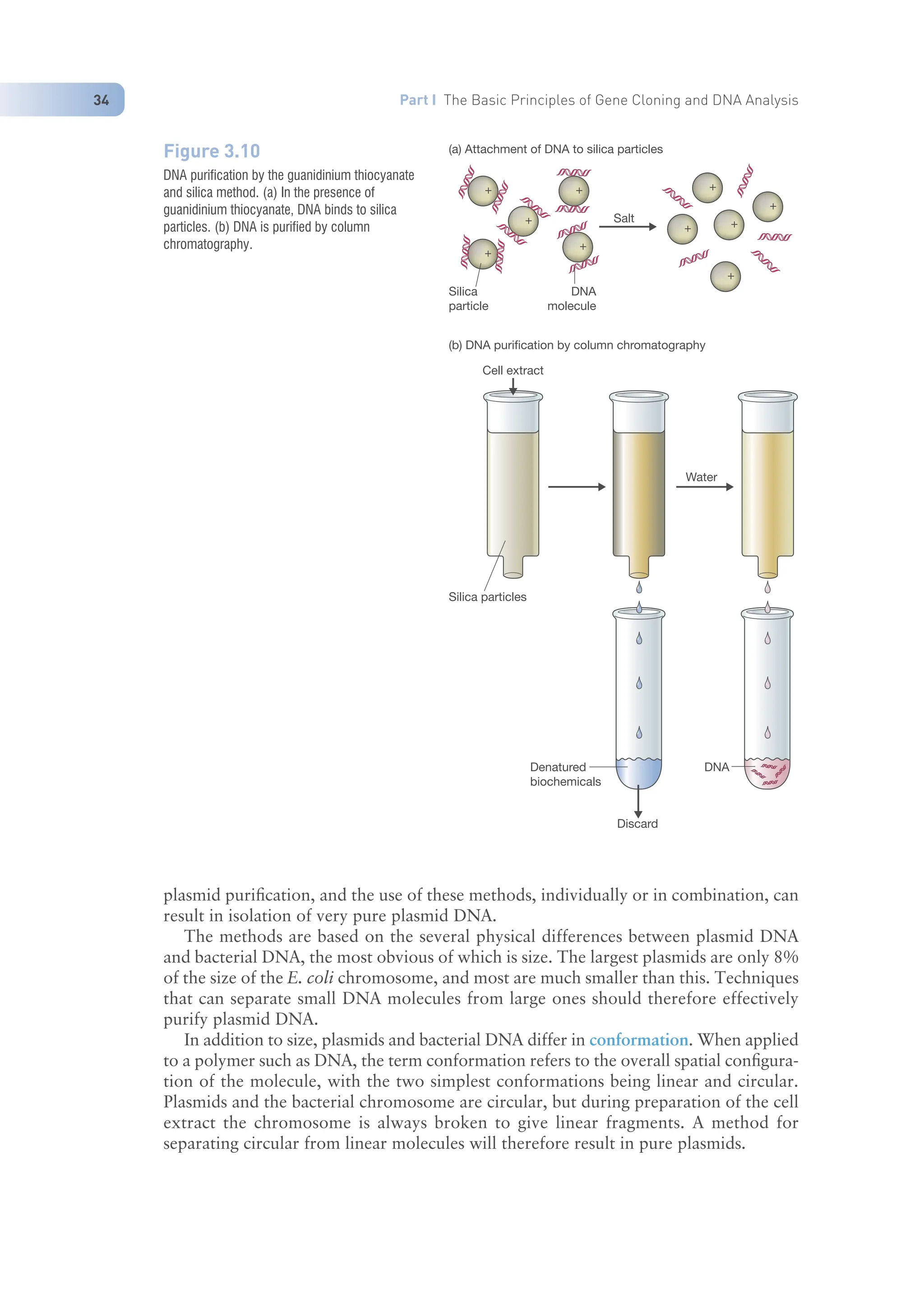Nucleic Acid Isolation and purification (TAB).pdf