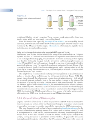 Nucleic Acid Isolation and purification (TAB).pdf