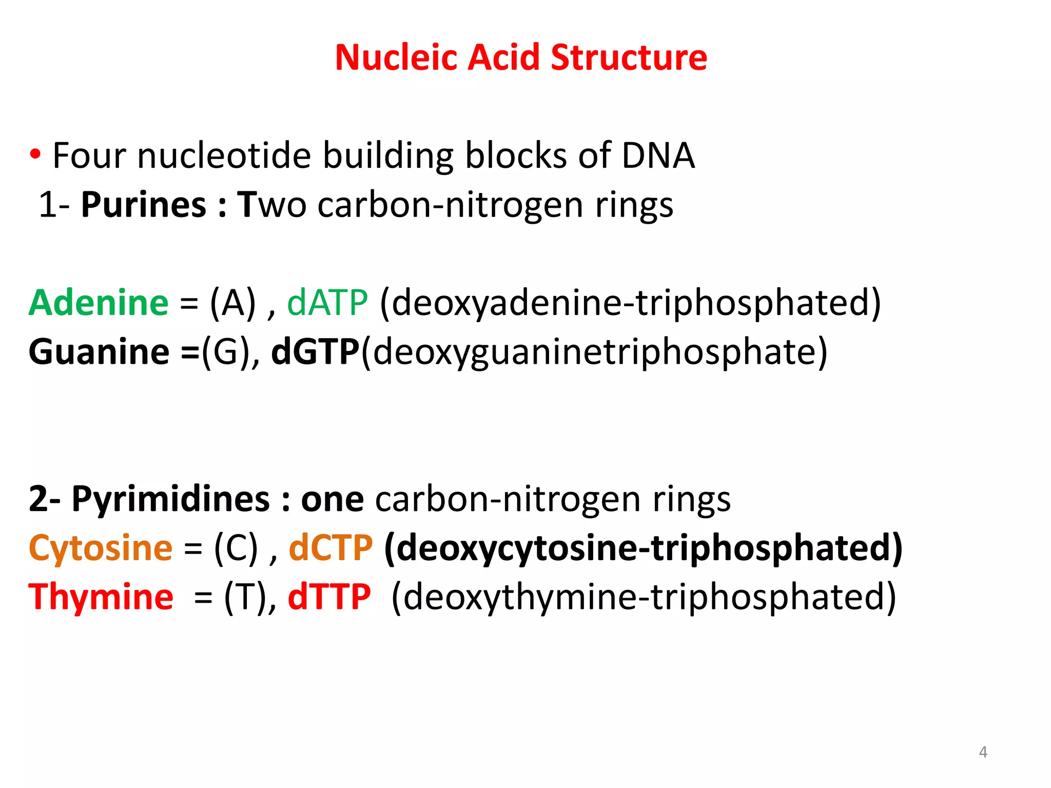 Nucleic Acid lecture 1 | PPTX
