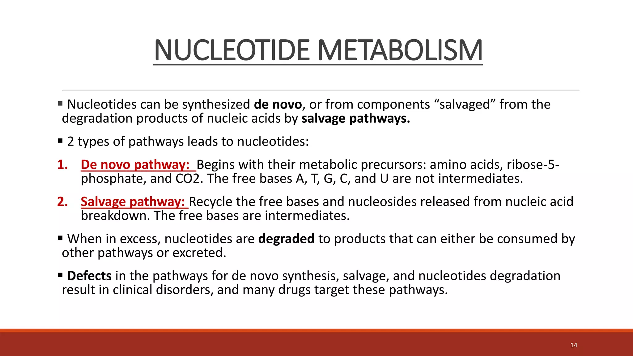 Nucleic Acid Metabolism | PPTX