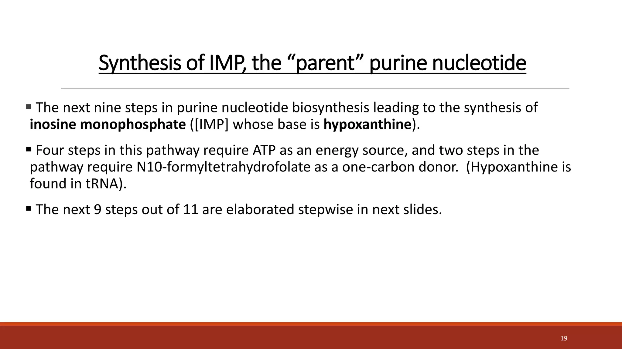 Nucleic Acid Metabolism | PPTX