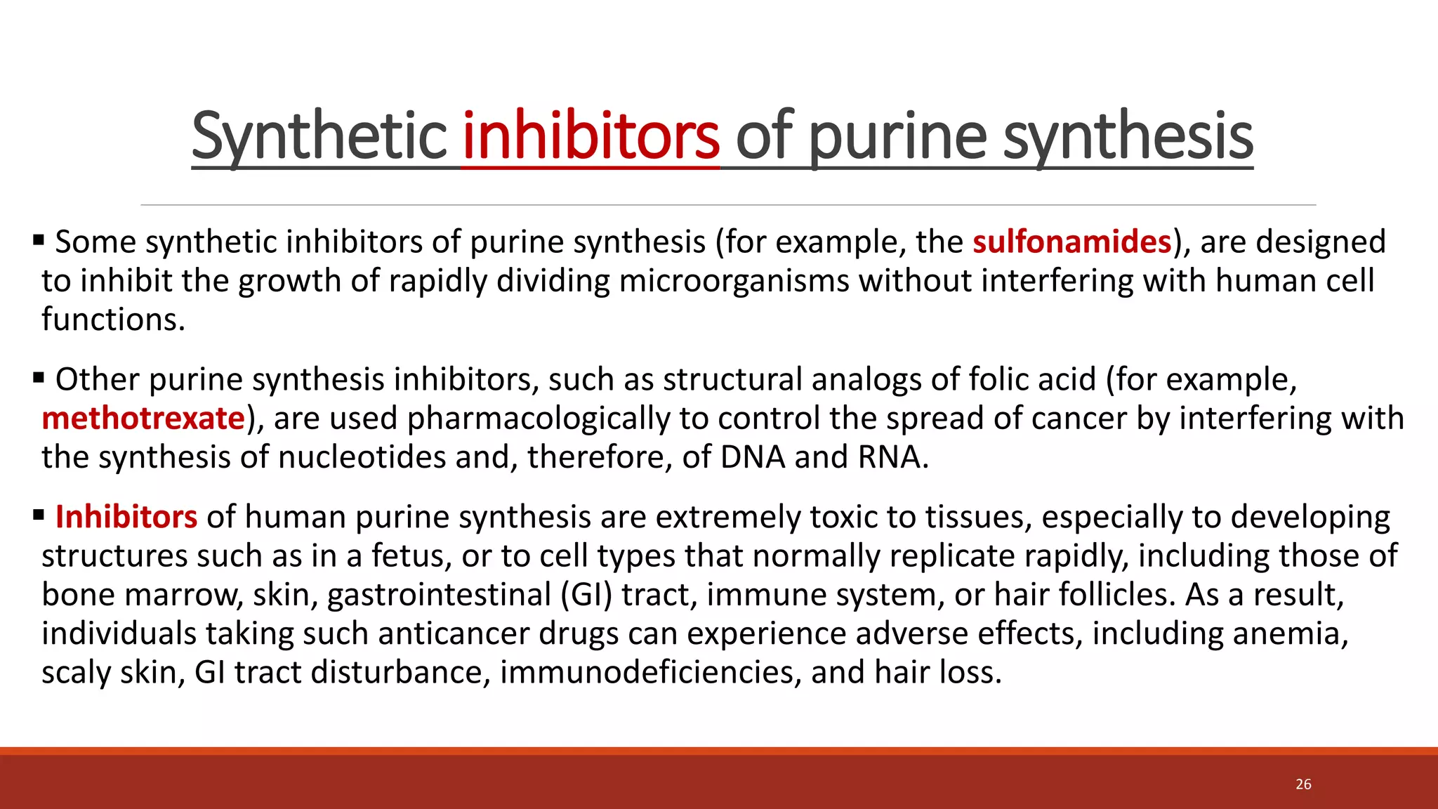 Nucleic Acid Metabolism | PPTX