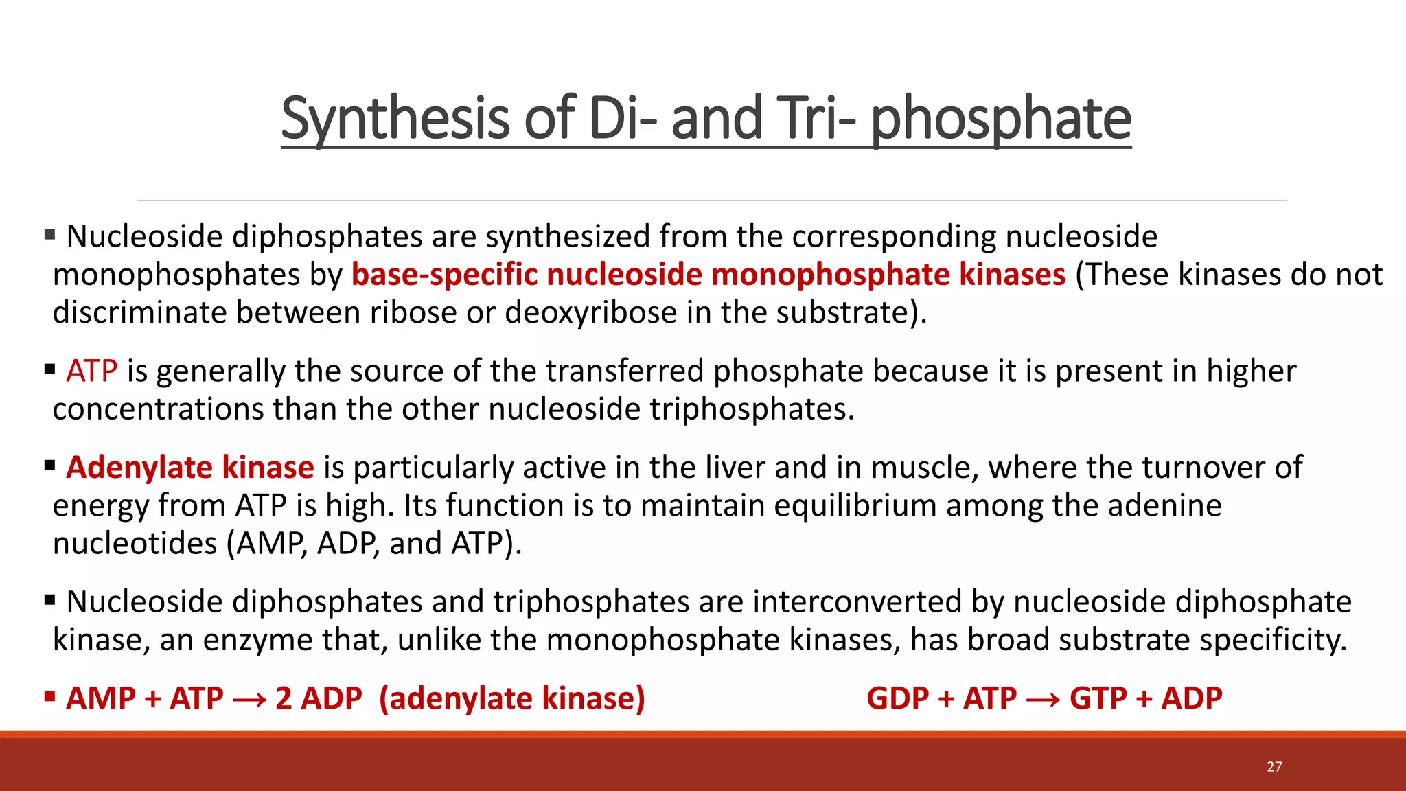 Nucleic Acid Metabolism | PPTX