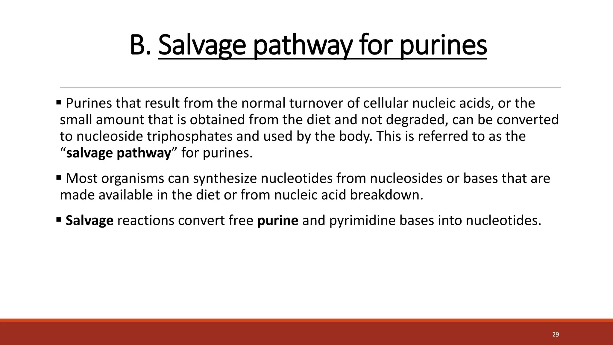 Nucleic Acid Metabolism | PPTX