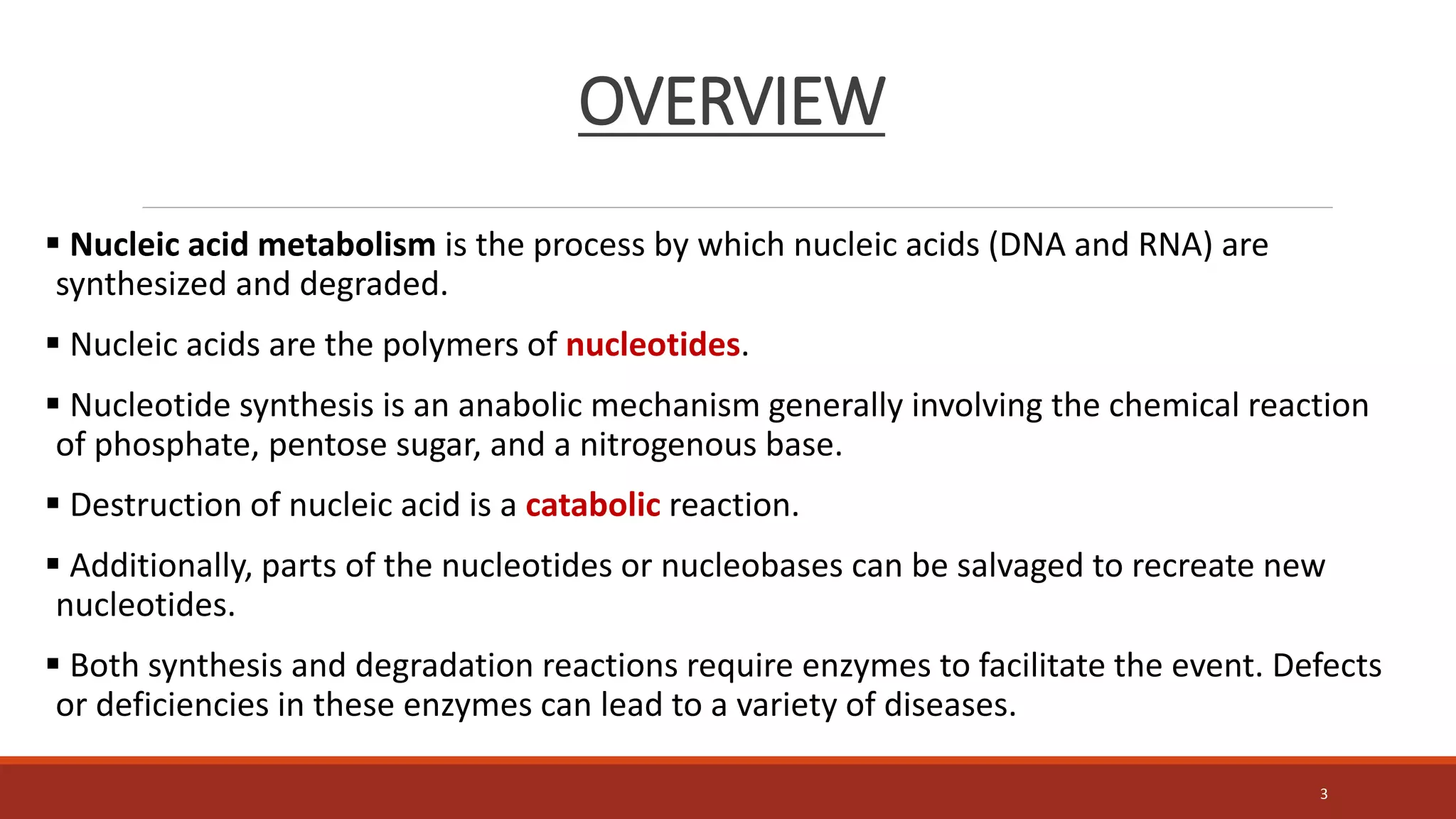 Nucleic Acid Metabolism | PPTX