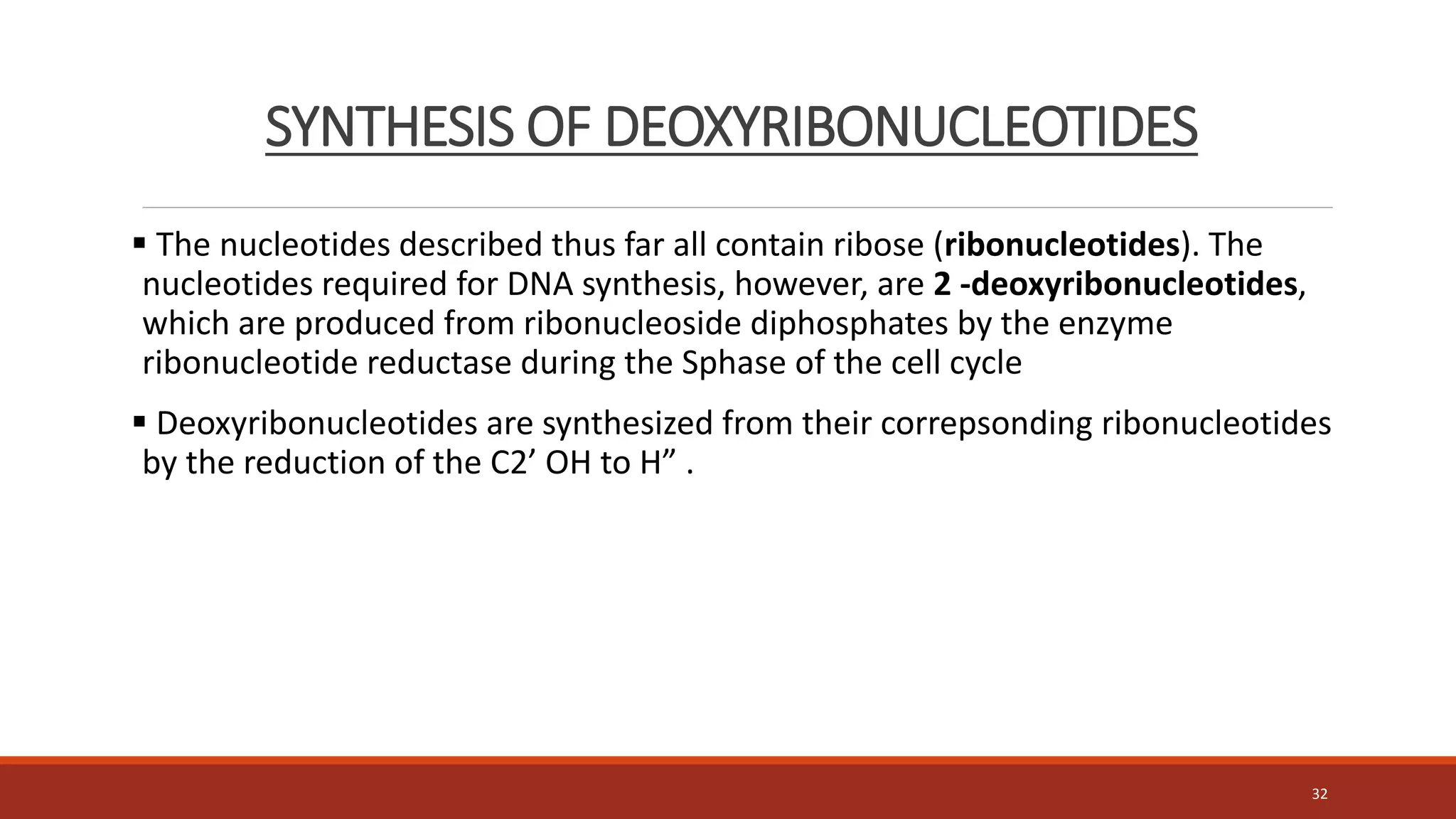 Nucleic Acid Metabolism | PPTX