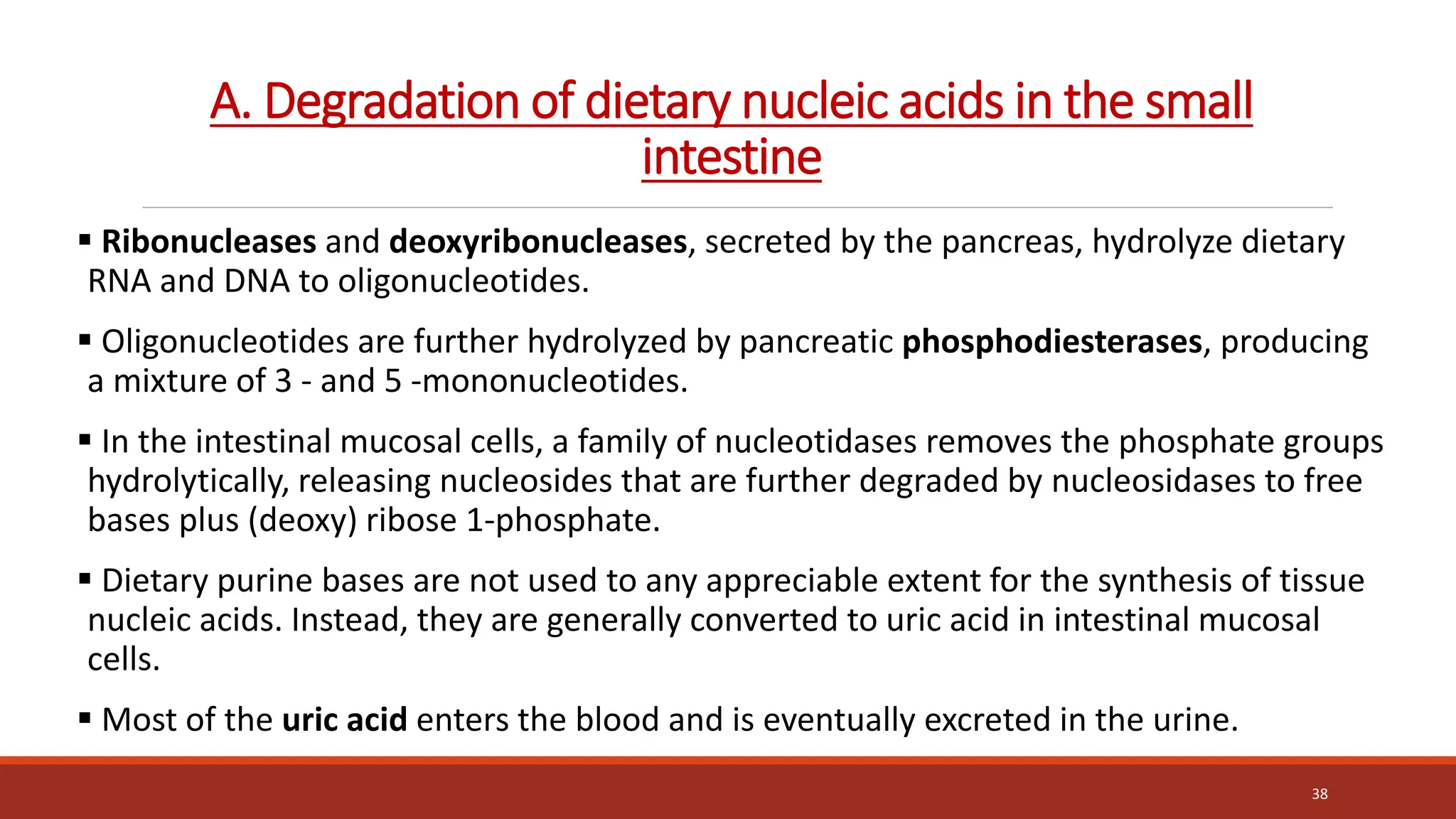 Nucleic Acid Metabolism | PPTX