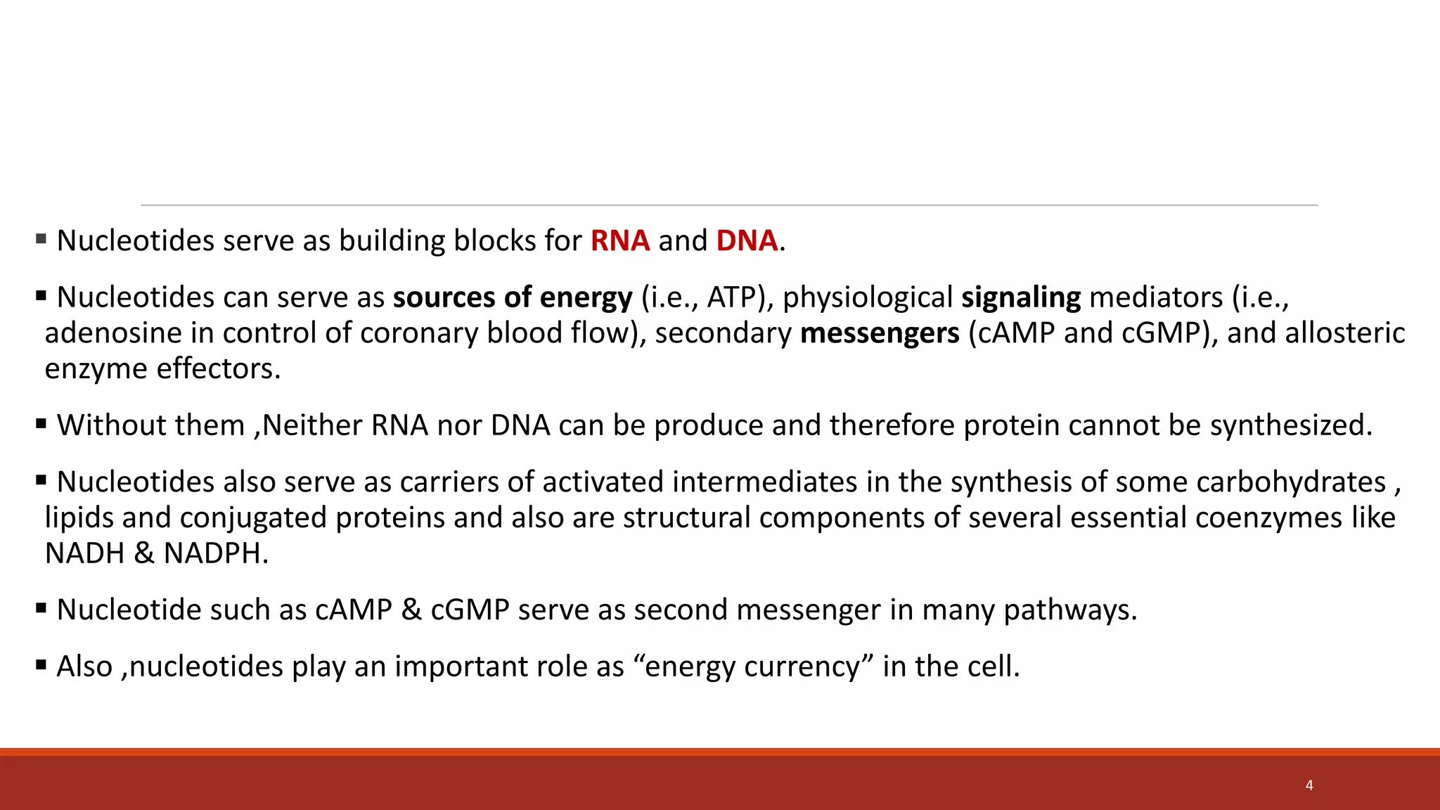 Nucleic Acid Metabolism | PPTX