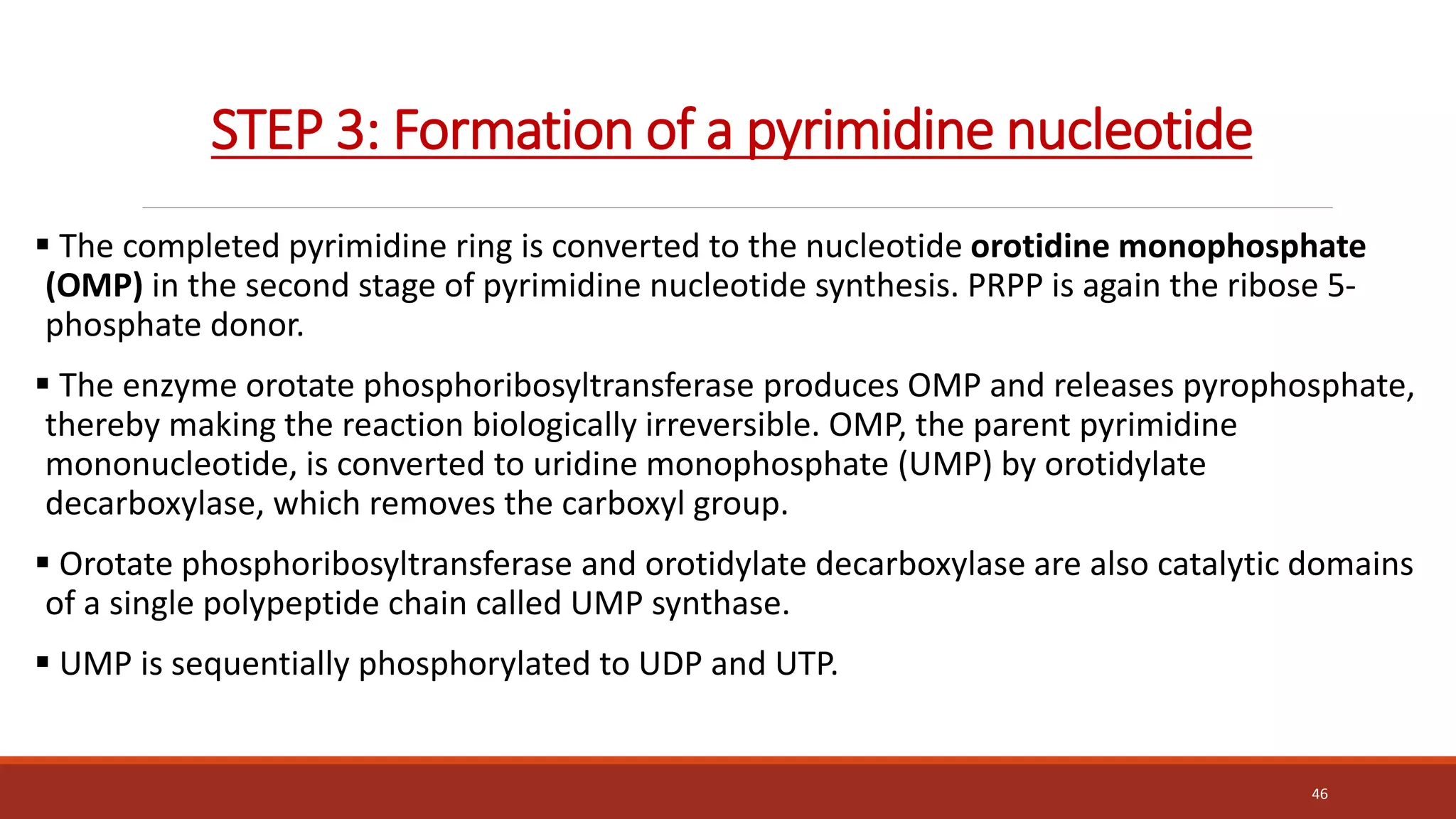Nucleic Acid Metabolism | PPTX