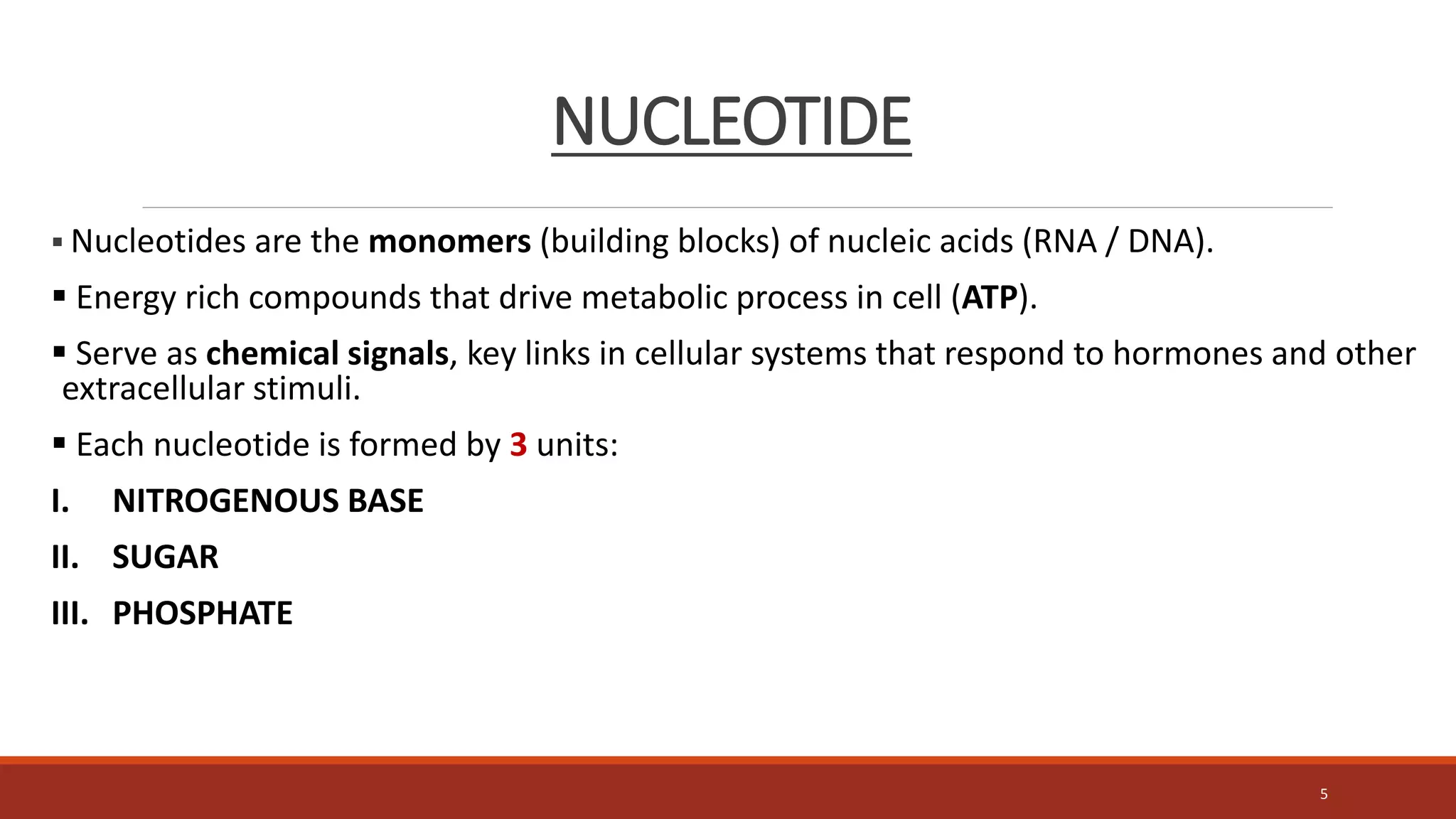 Nucleic Acid Metabolism | PPTX