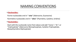 Nucleic Acid Metabolism | PPTX