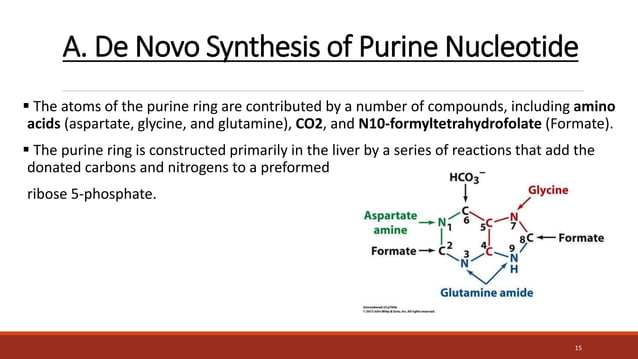 Nucleic Acid Metabolism | PPTX