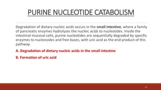 Nucleic Acid Metabolism | PPTX