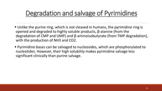 Nucleic Acid Metabolism | PPTX