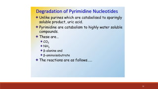 Nucleic Acid Metabolism | PPTX