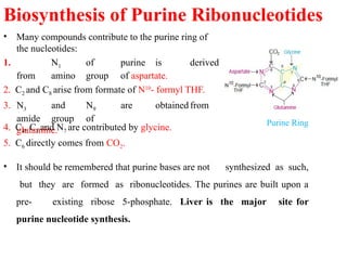 BIOCHEMISTRY NUCLEIC ACID METABOLISM.pptx
