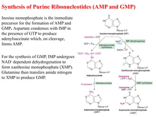 BIOCHEMISTRY NUCLEIC ACID METABOLISM.pptx