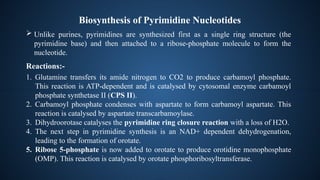 Nucleic Acid Metabolism and genetic information transfer; Biochemistry ...