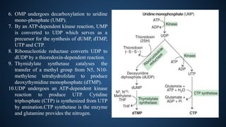 Nucleic Acid Metabolism and genetic information transfer; Biochemistry ...
