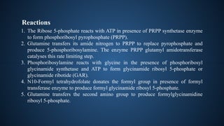 Nucleic Acid Metabolism and genetic information transfer; Biochemistry ...