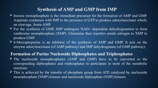 Nucleic Acid Metabolism and genetic information transfer; Biochemistry ...