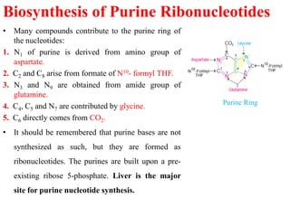 Nucleic Acid Metabolism | PDF